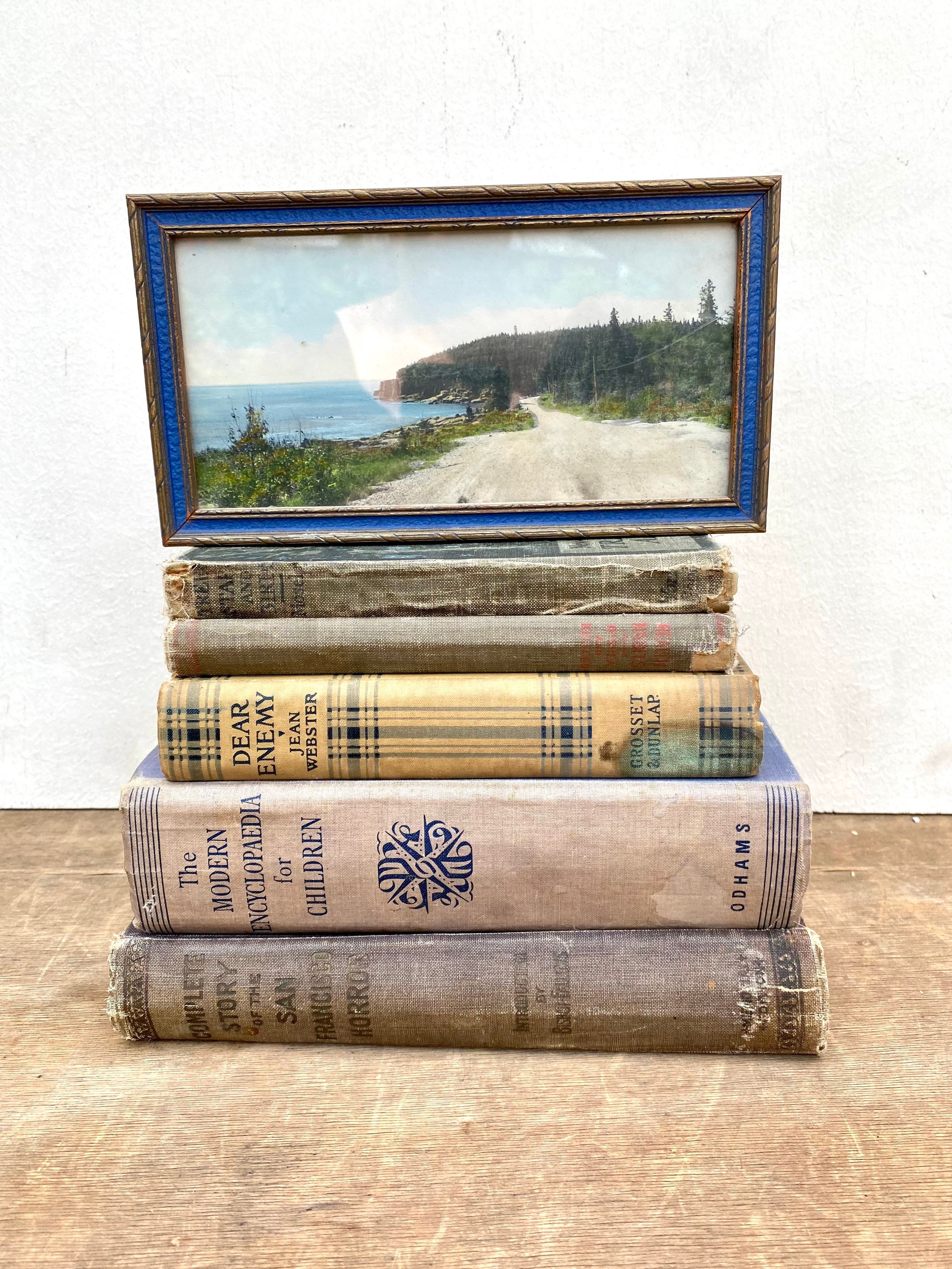 Lot vintage muted sepia green tan taupe Hardcover Books. BOOK STACK ...