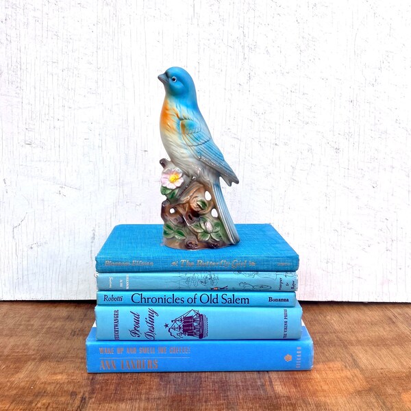 Blue Book Stack - Etsy