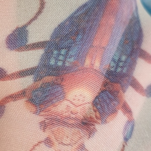 Halloween Bugs Semi-sheer Pantyhose, Steampunk Beetles Halloween ...