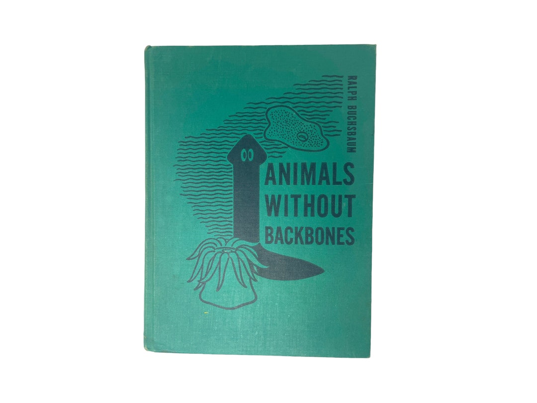 Vintage Animals Without Backbones: an Introduction to Invertebrates ...
