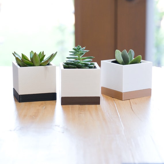 Succulent Pot Modern Square Planter for 4oz/2.5 Plants Cactus | Etsy