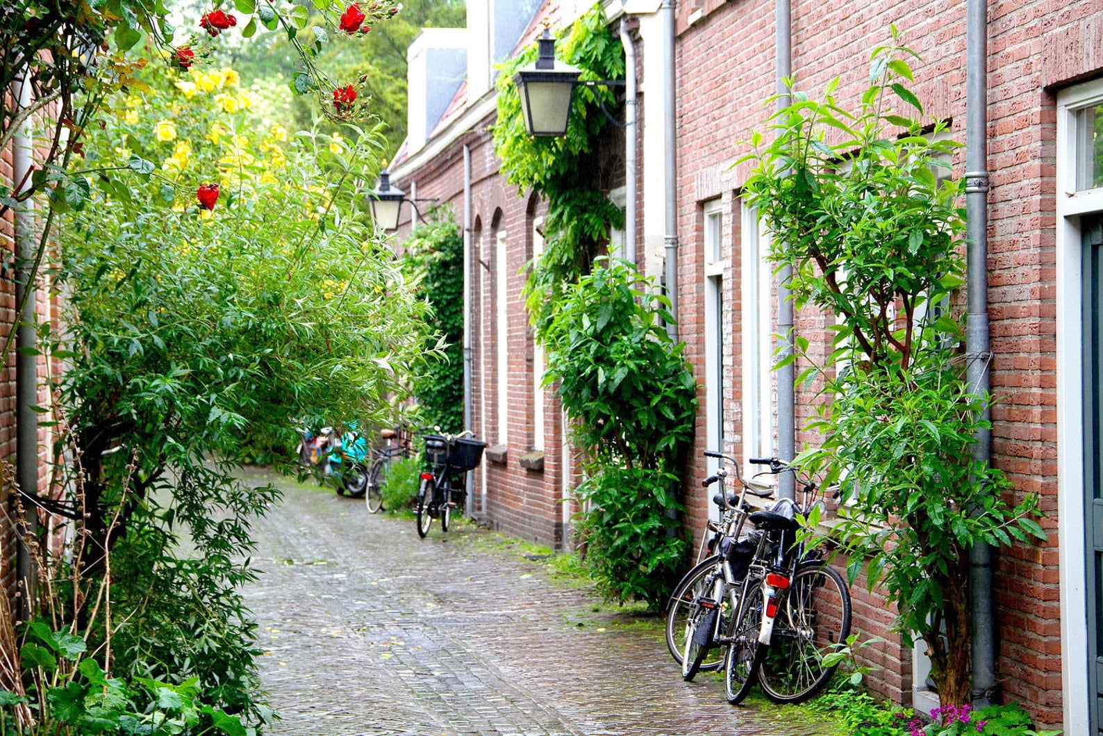 Utrecht Bike Photo, Bike Parking, Summer Bicycle Photo, Fine Art ...