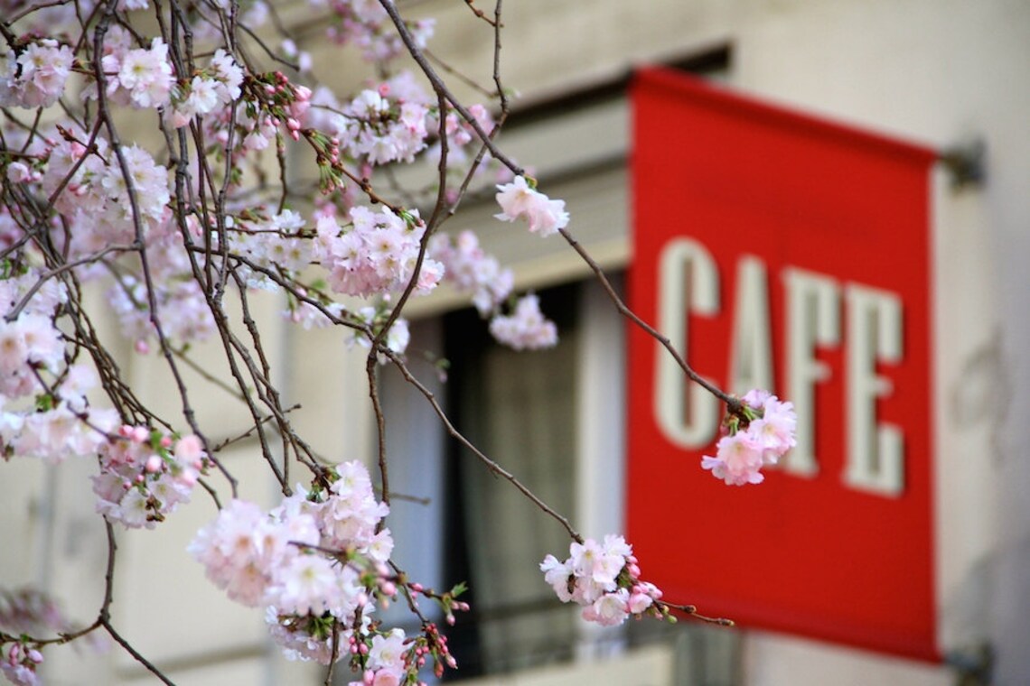 Red Café Sign Paris, Fine Art Paris Photography, Cherry Blossom ...