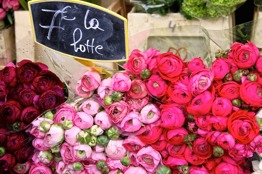 Paris Flower Photo, Fine Art Paris Photography, Valentine's Day ...