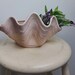 Vintage Pink Ruffled Clam Shell Planter 1940s West Coast - Etsy