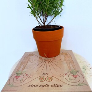 Vintage Terracotta Clay Sundial, Garden Wall Tile, Made in Italy by ...