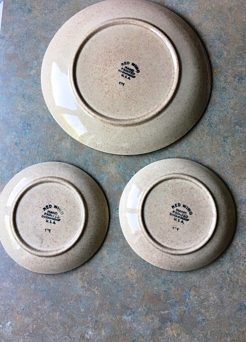 Vintage Red Wing Futura Dinnerware Tampico Pattern Mid - Etsy