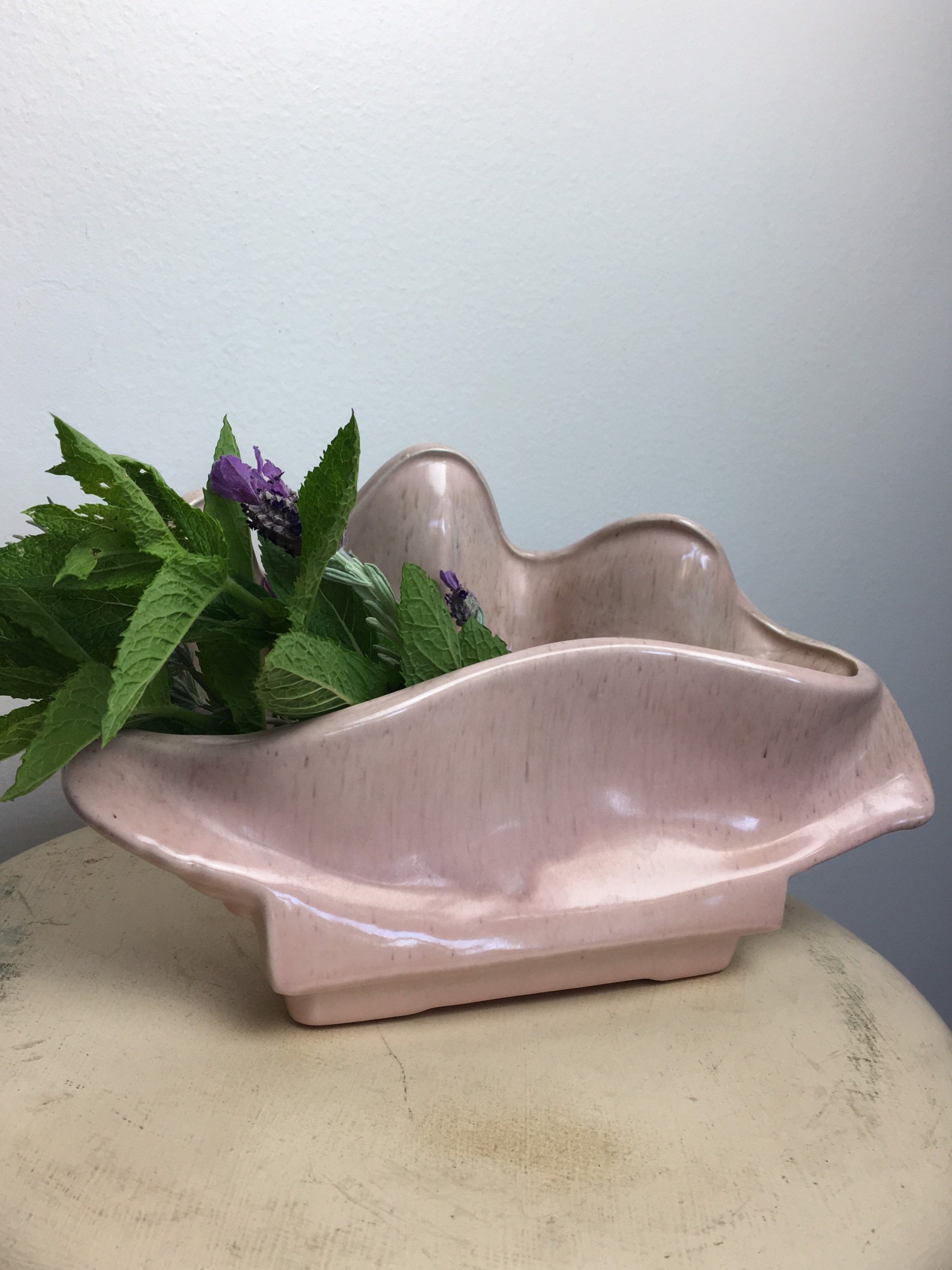 Vintage Pink Ruffled Clam Shell Planter 1940s Ceramic Shell - Etsy