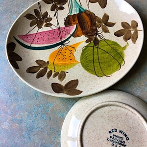 Vintage Red Wing Futura Dinnerware, Tampico Pattern, Mid Century Hand ...