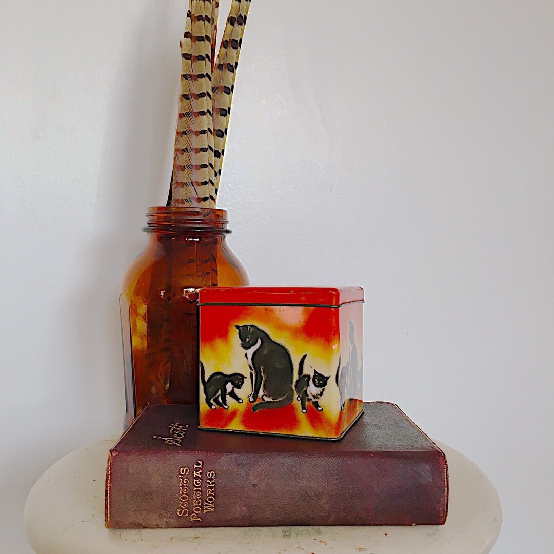Vintage Twining Tea Tin, Black Cat and Kittens, Farmhouse Kitchen - Etsy