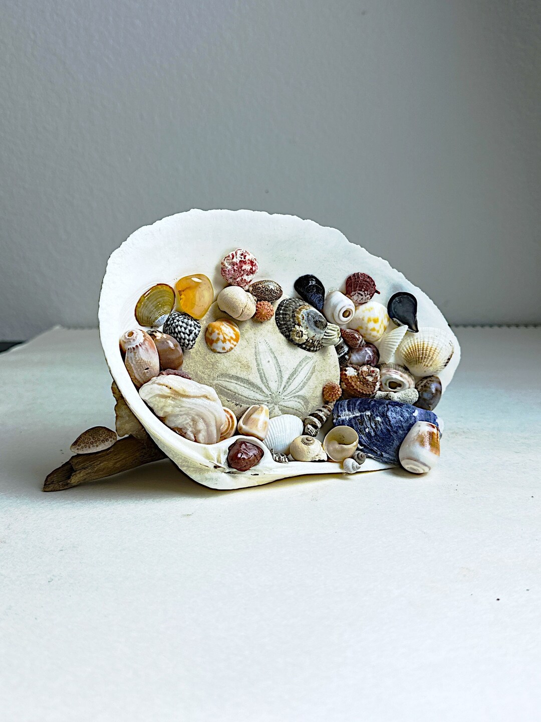 Vintage Folk Art Shell Sculpture, Beach Cabin Decor - Etsy