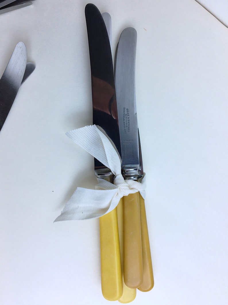 Vintage Bone Handled Dinner Knives, Antique Celluloid Handled Flatware ...