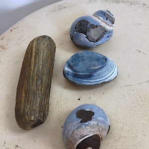 Petrified Whale Bone - Etsy