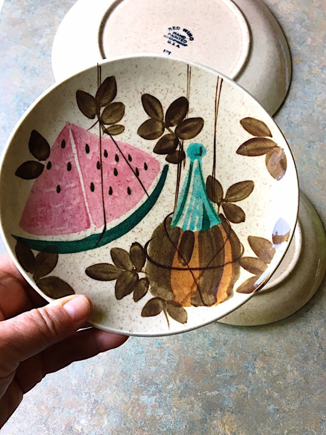 Vintage Red Wing Futura Dinnerware Tampico Pattern Mid - Etsy