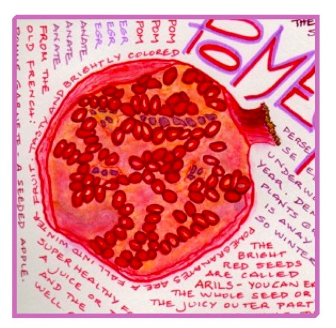 POMEGRANATE Note Card, Colorful, Hand Drawn - Etsy