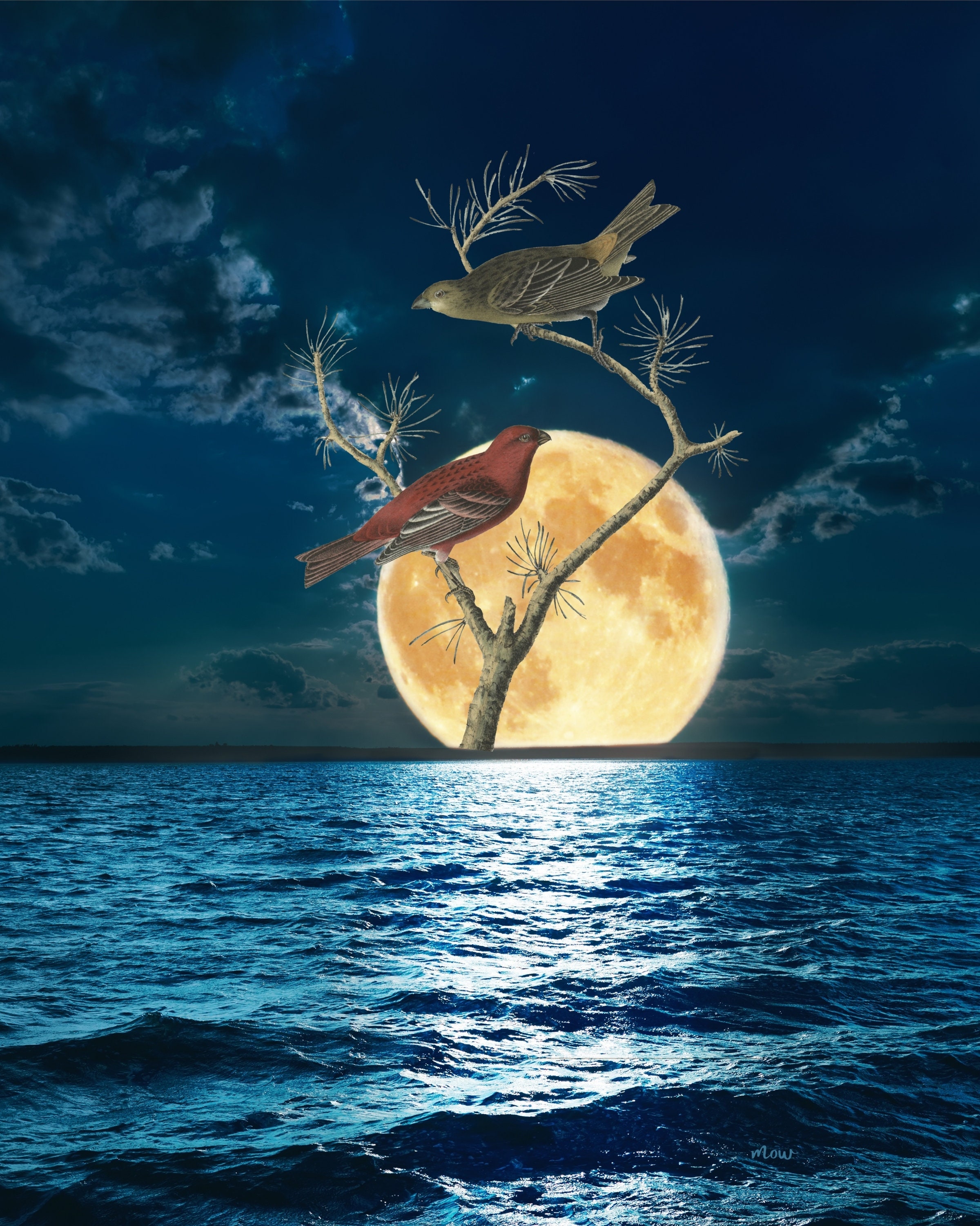 Full Harvest Moon Rising Art Print: Birds on Branch, Moody Ocean Waves ...