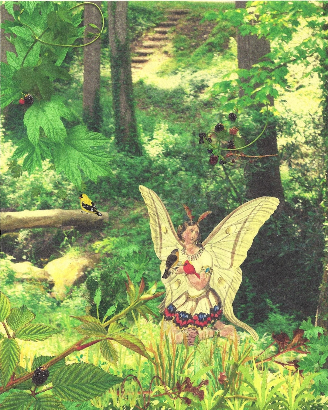 Indigenous Peoples' Day, Birds,blackberry,butterfly,native American ...