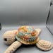 Fred the Sea Turtle. - Etsy