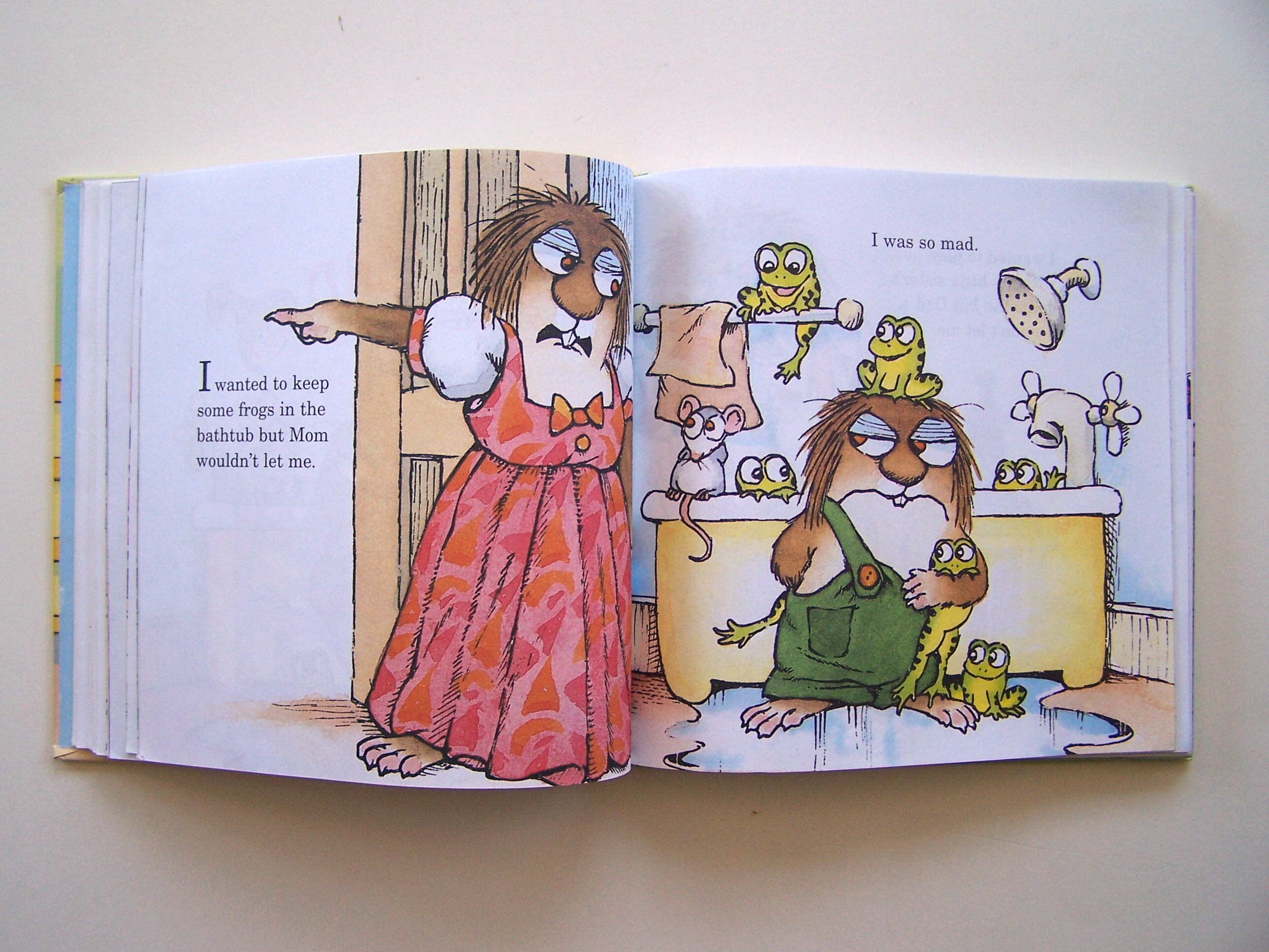 Mercer Mayer Little Critter Books the New Baby, Just A Little Critter ...