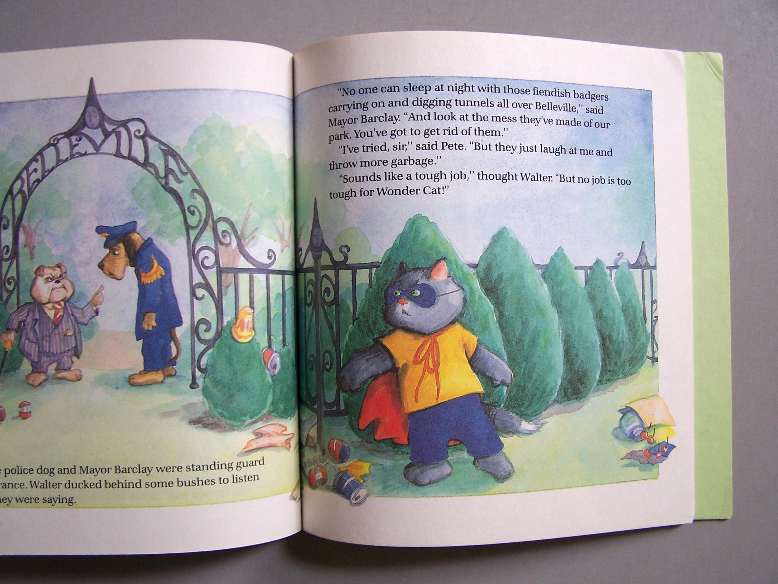 Secret Life of Walter Kitty Perfect Picnic Little Raccoon - Etsy