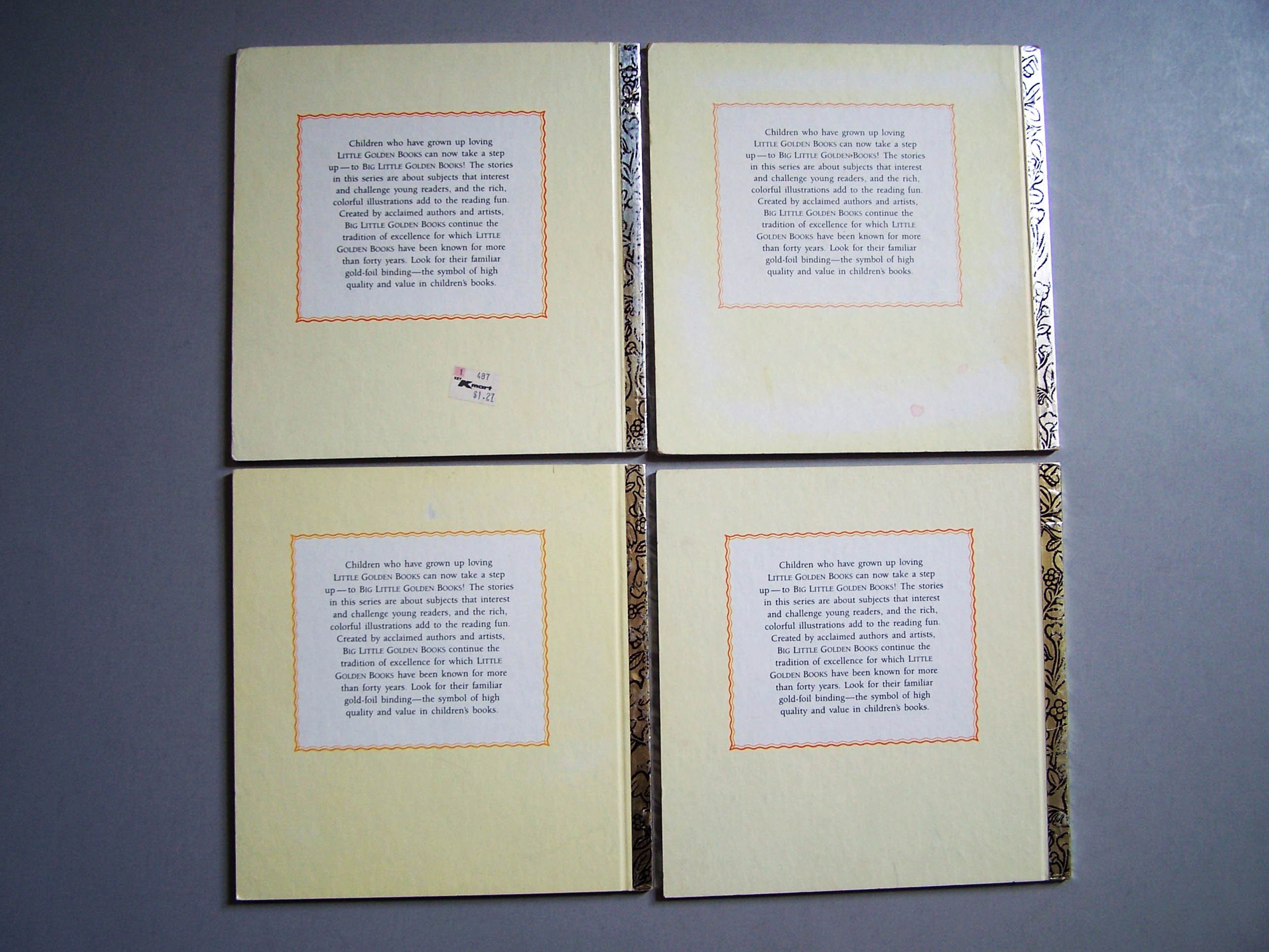 Secret Life of Walter Kitty Perfect Picnic Little Raccoon - Etsy