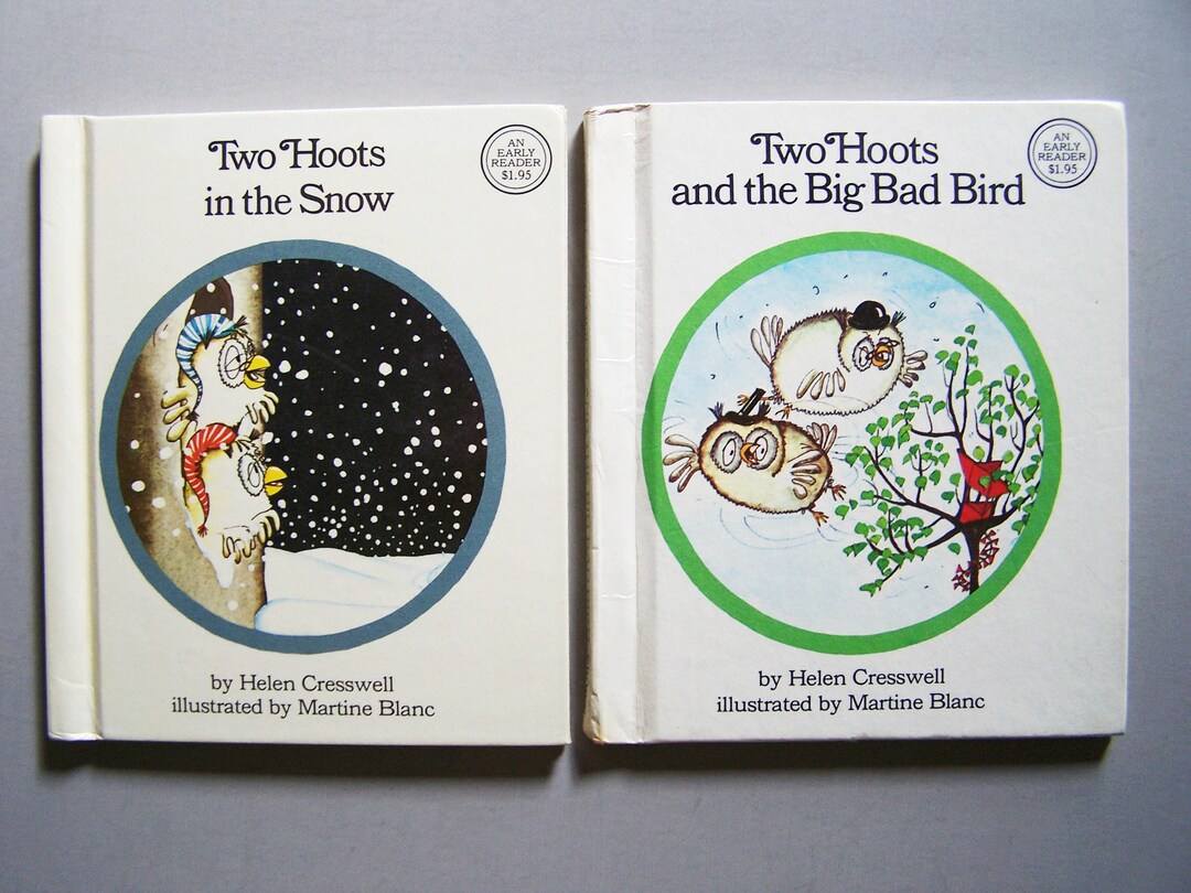 Two Hoots and the Big Bad Bird AND Two Hoots and the Snow by Helen ...