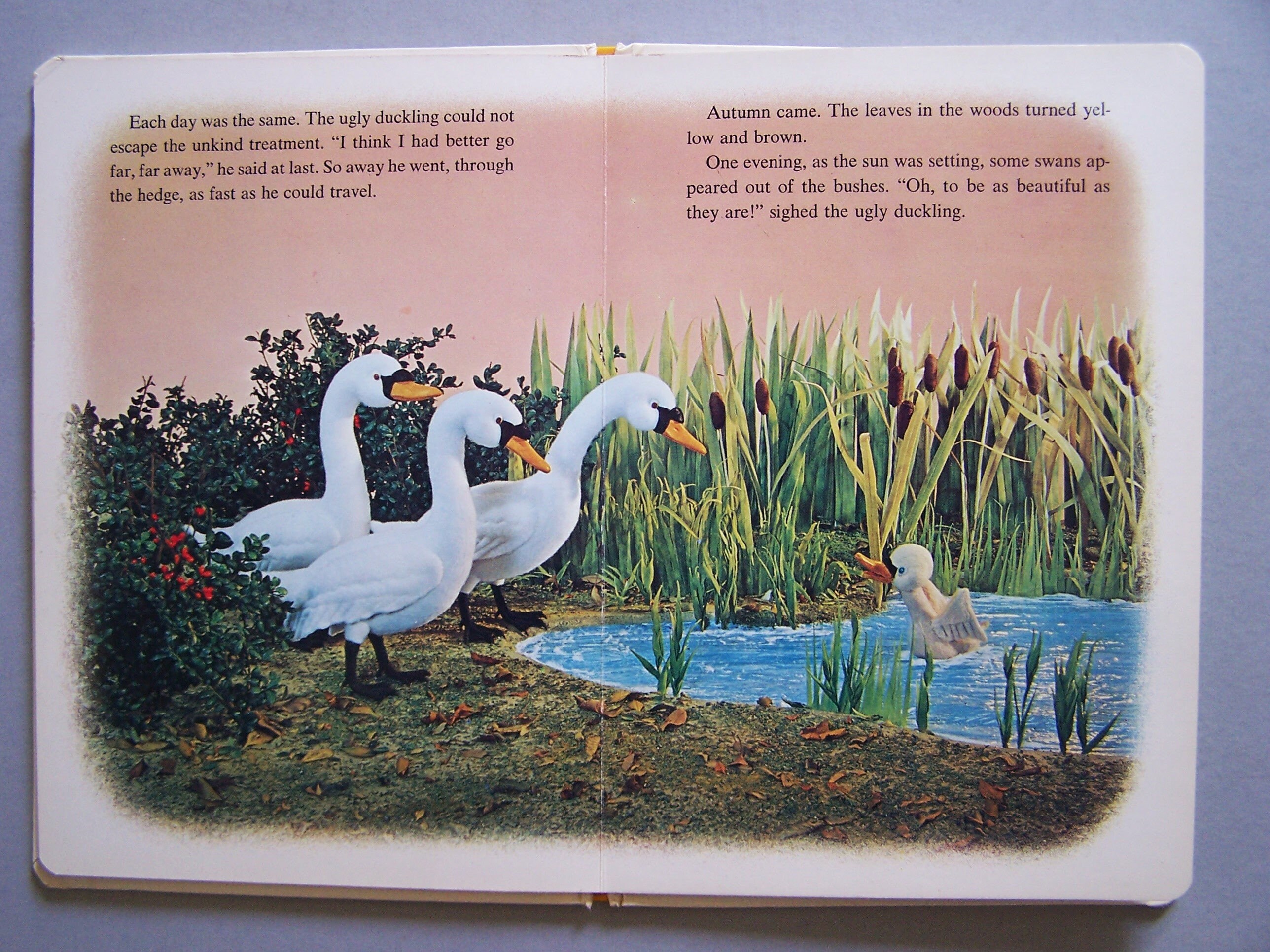 Pair of 3-D Fairy Tale Books the Ugly Duckling AND Little Red Riding ...