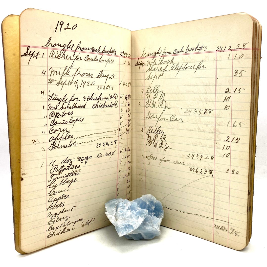 RUTHERFORD, F.W. Handwritten Cash Book 1920-1921 - Etsy