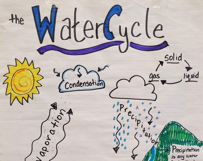 Water Cycle Anchor Chart - Etsy
