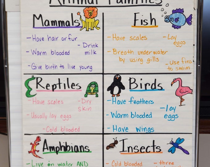Animal Families Anchor Chart - Etsy