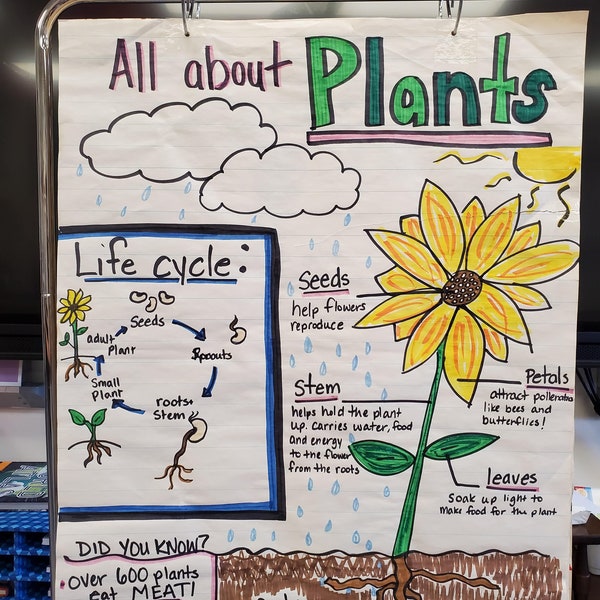 Animal Adaptations Anchor Chart - Etsy