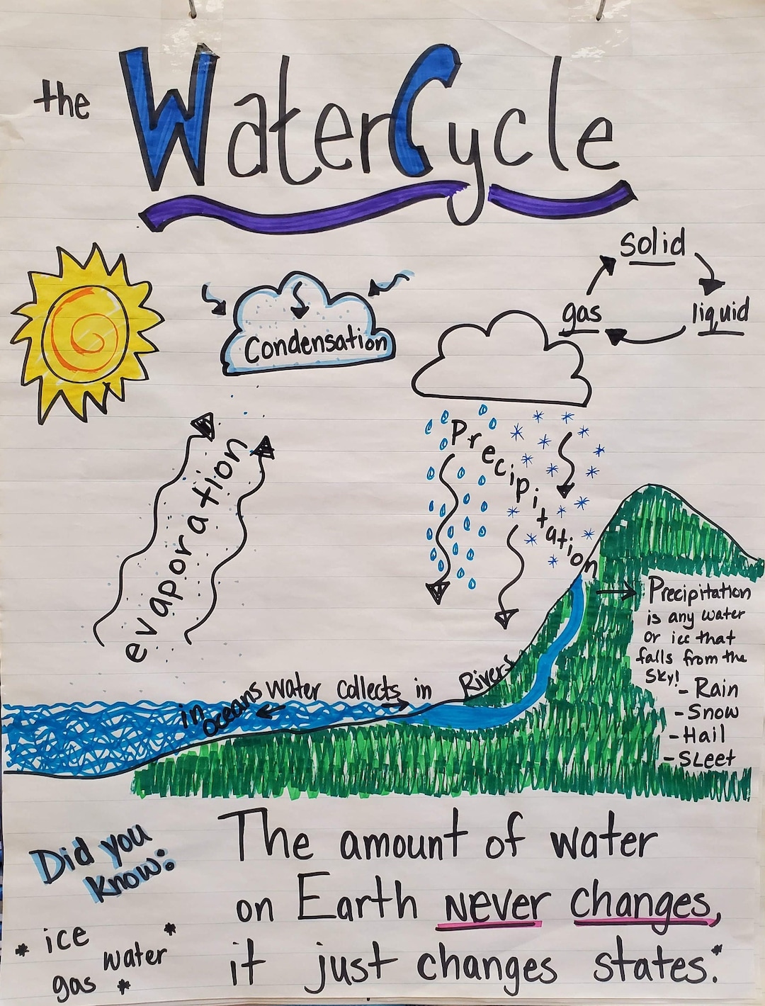 Water Cycle Projects For 7th Grade