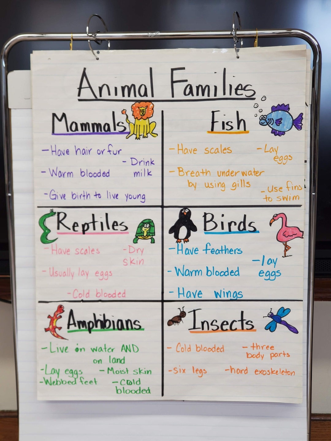Animal Families Anchor Chart - Etsy