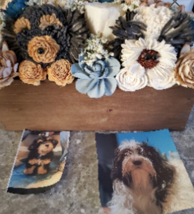 Two Dog Bouquet With 2 Dozen Flowers in Shallow Box Crate - Etsy