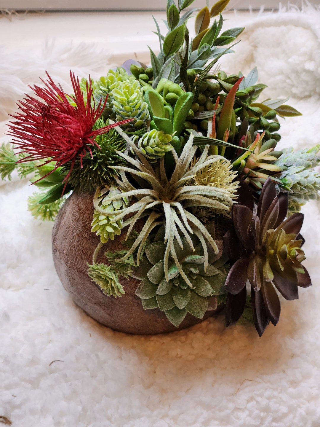 Succulent Garden Arrangement] Cactus Succulent Bowl] Vibrant Cacti ...