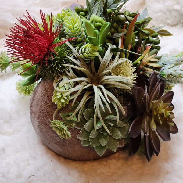 Cactus Centerpiece - Etsy
