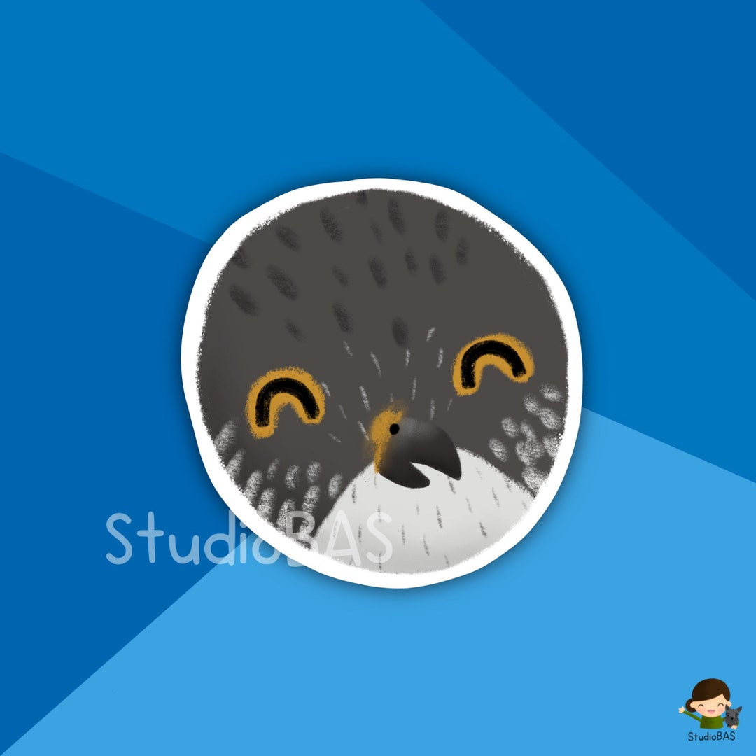 Peregrine Falcon Vinyl Sticker - Etsy