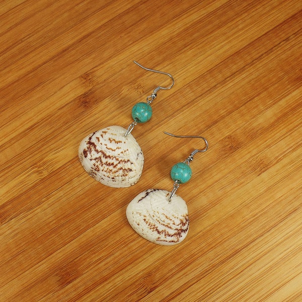 White Shell Earrings - Etsy