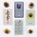 Tarot Deck Oracle Deck Tarot Card Deck Oracle Cards - Etsy