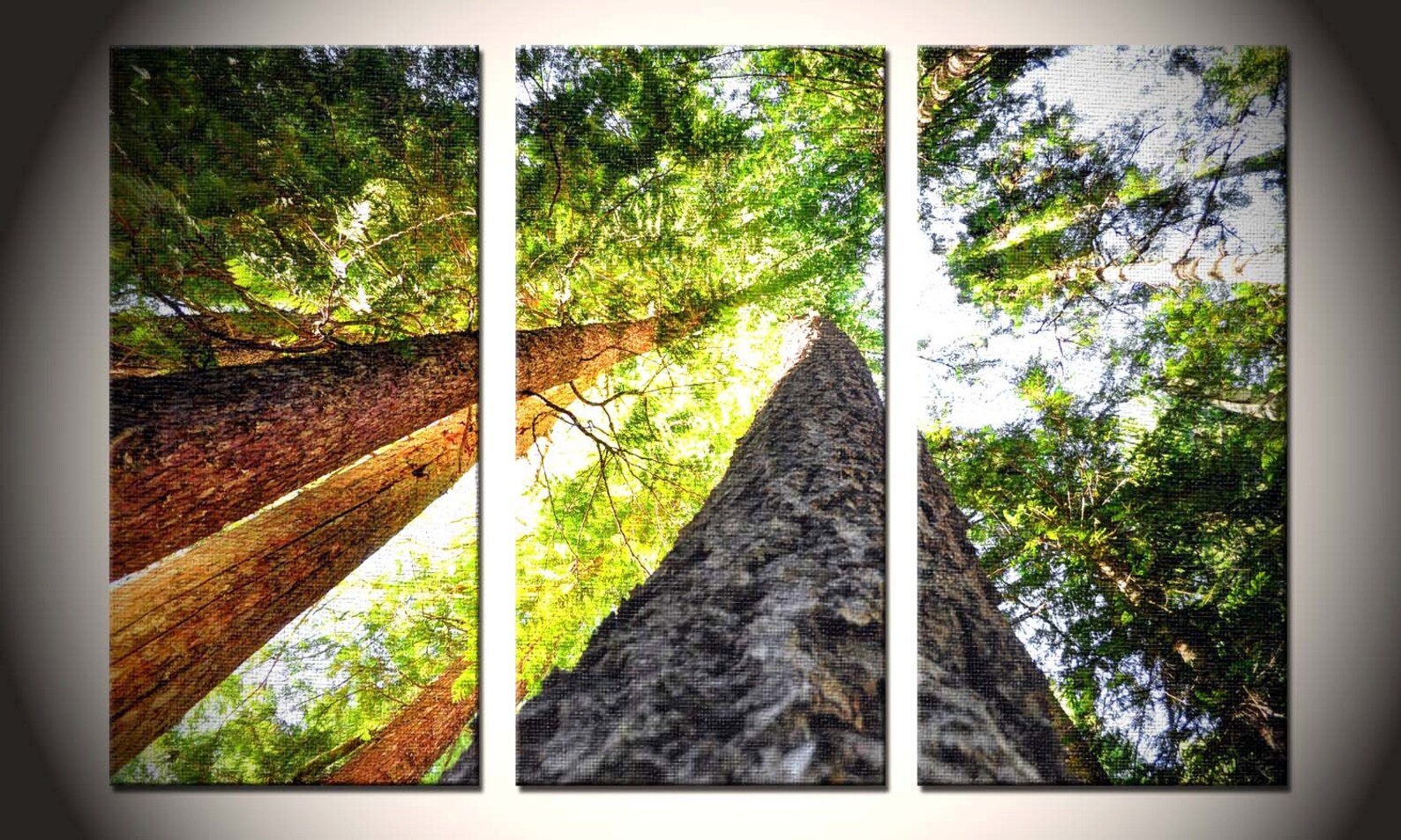 Nature Triptych, Fine Wall Art, Oregon Woods in Green, Yellow, Brown ...