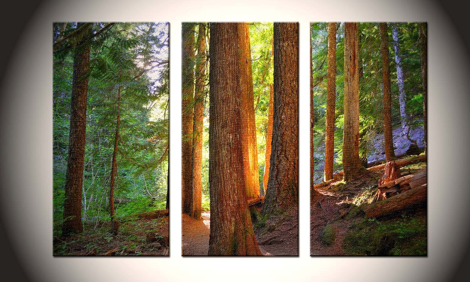 Nature Triptych, Fine Wall Art, Woods Near Mt. Hood, Oregon, in Green ...