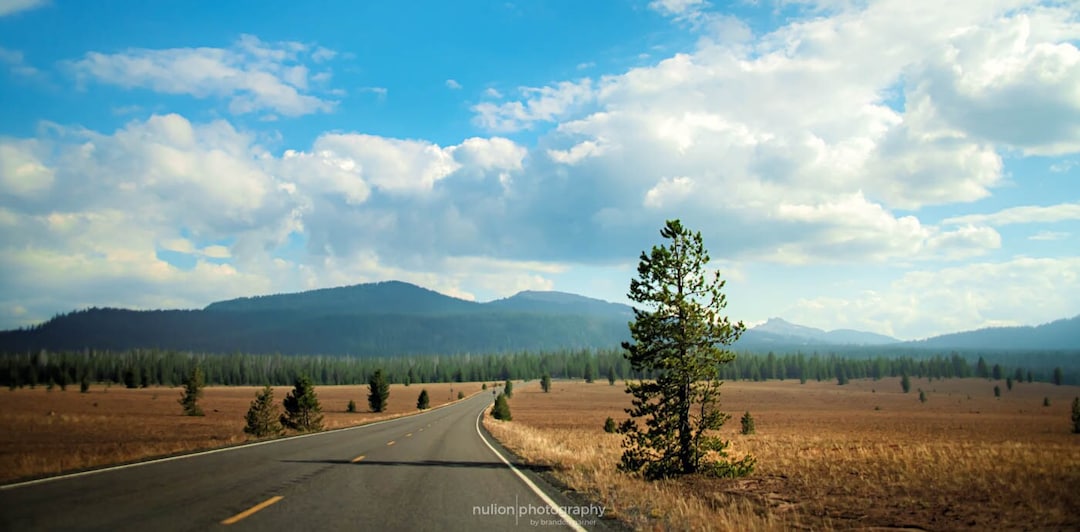 Oregon Pumice Desert Wide Panorama Photograph, Blue and Gold, Panoramic ...