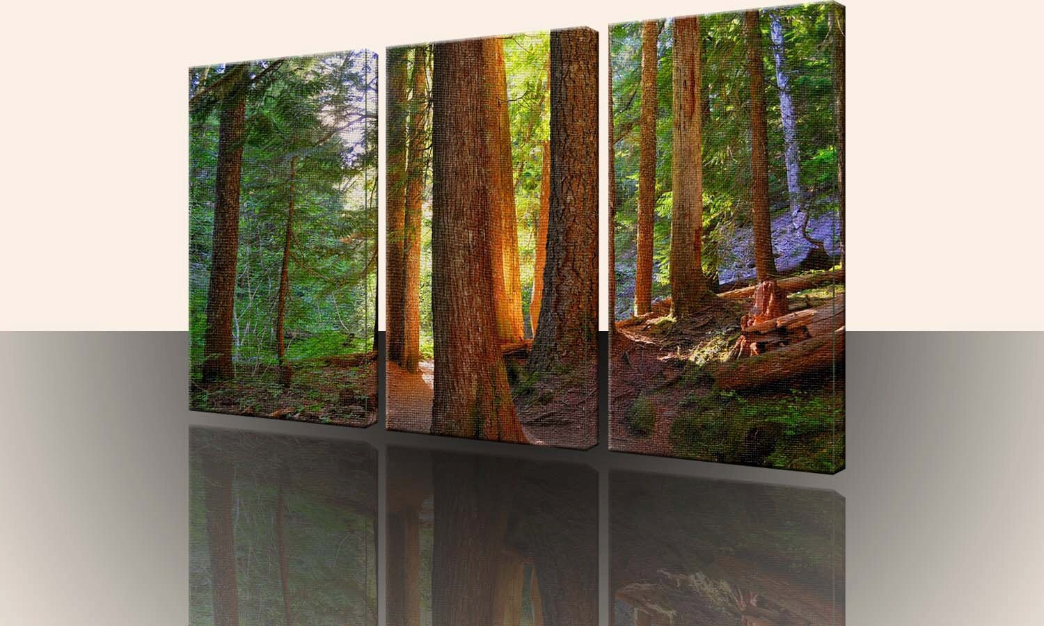 Nature Triptych, Fine Wall Art, Woods Near Mt. Hood, Oregon, in Green ...