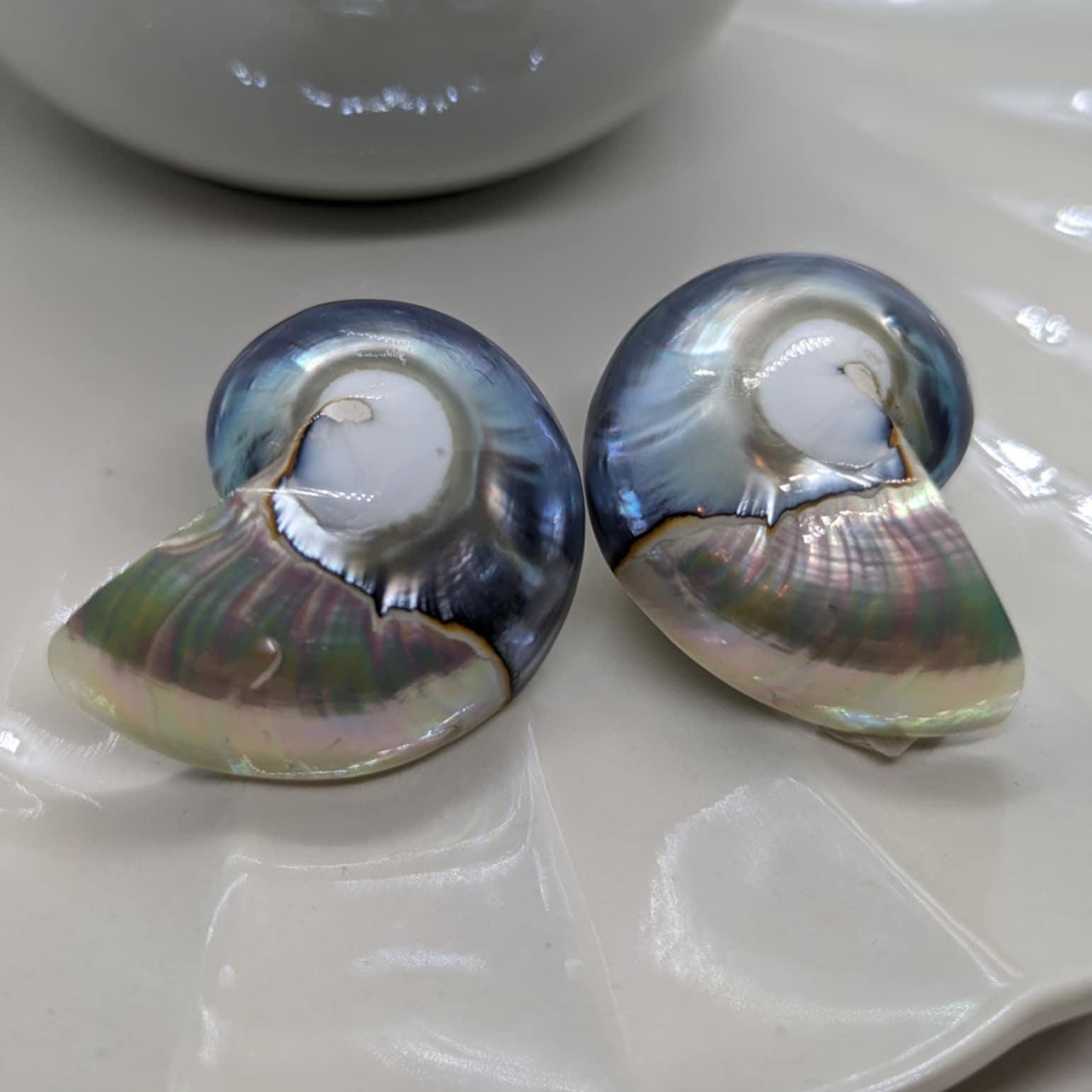 Handmade Nautilus Shell Earrings, Natural Ocean Jewelry, Silver Beach ...