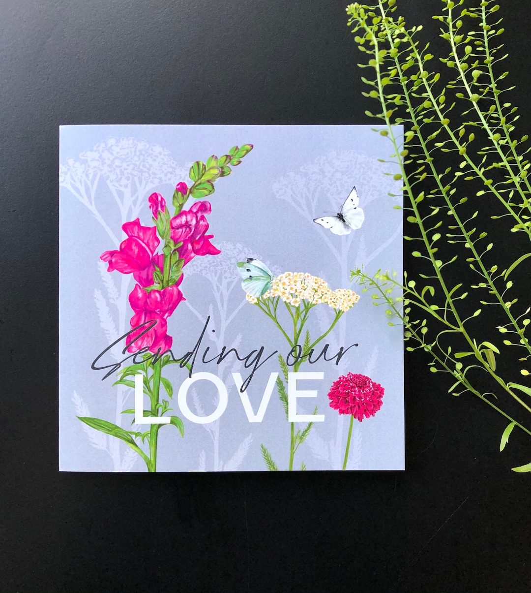 Sending Our Love Greetings Card Blank Card Illustrated Card Butterfly ...