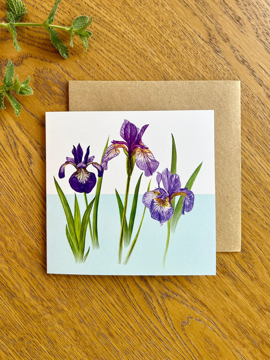 Iris Flower Greetings Card | Greetings Card | Illustrated Greetings ...