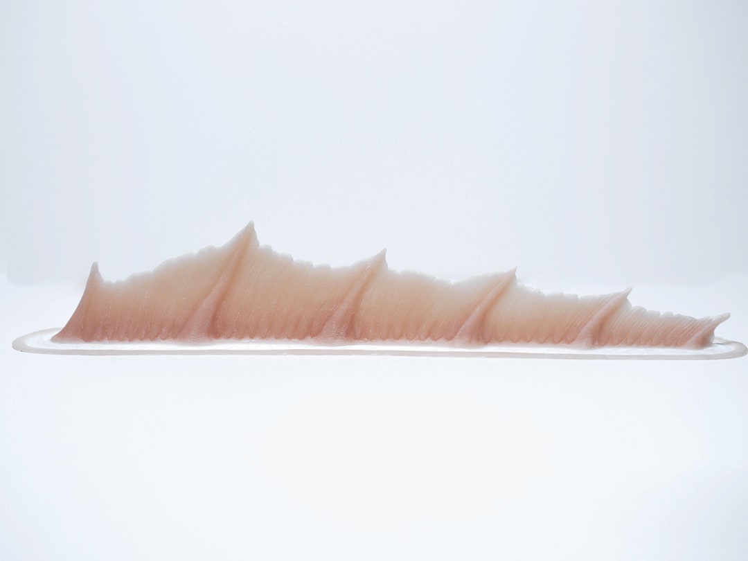 Sea Creature, Straight Fin Large, Silicone Makeup Prosthetic, Siren ...