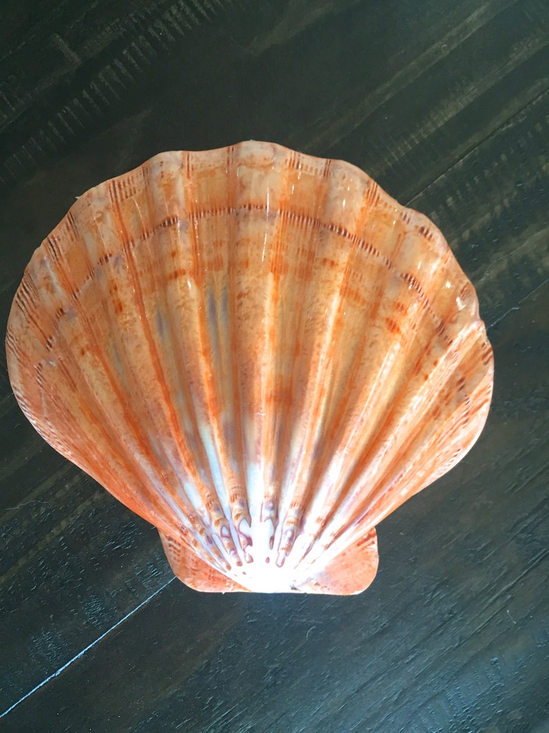 Mixed Media Assemblage Original Handmade Art Shell Art - Etsy