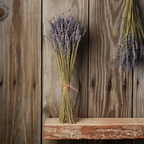 Dried Lavender Bouquet - Etsy
