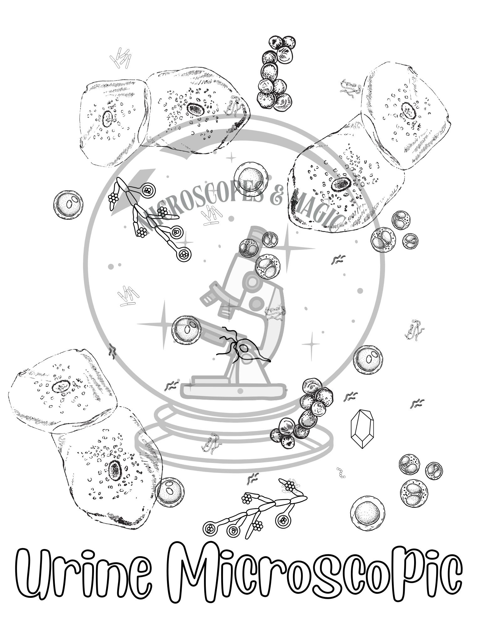 Clinical Laboratory Coloring Pages- Printable, Digital Download. Lab ...